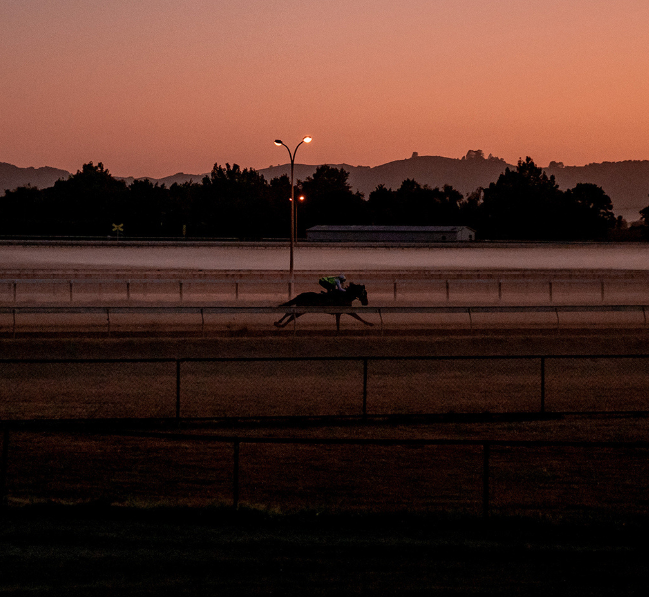 New Zealand Thoroughbred Racing - NZTR