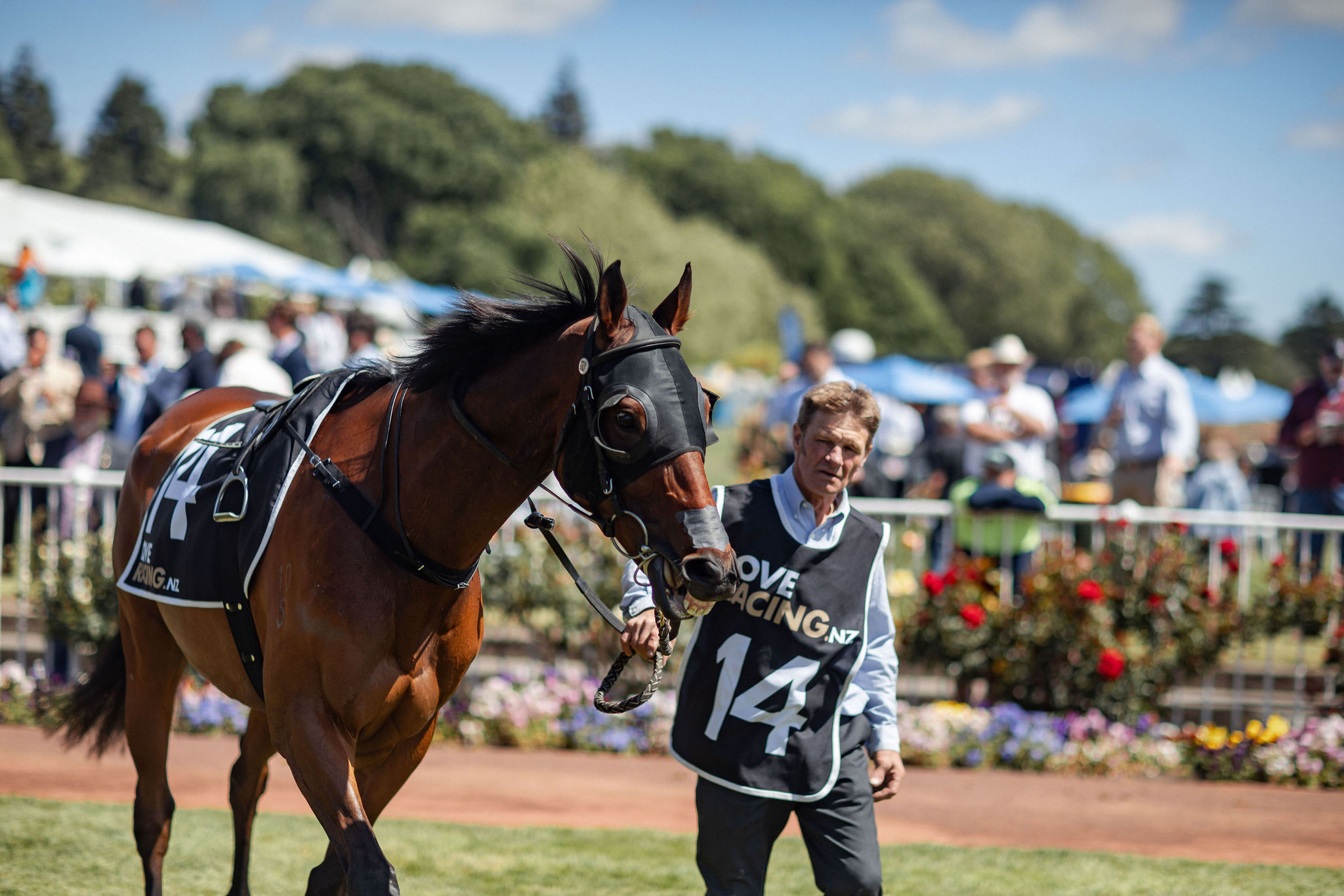 Innovation Races to Enrich Calendar During 2023/24 Season - NZTR