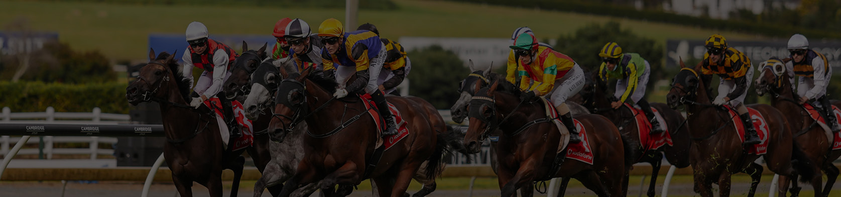 Elsdon Park Aotearoa Classic - NZTR