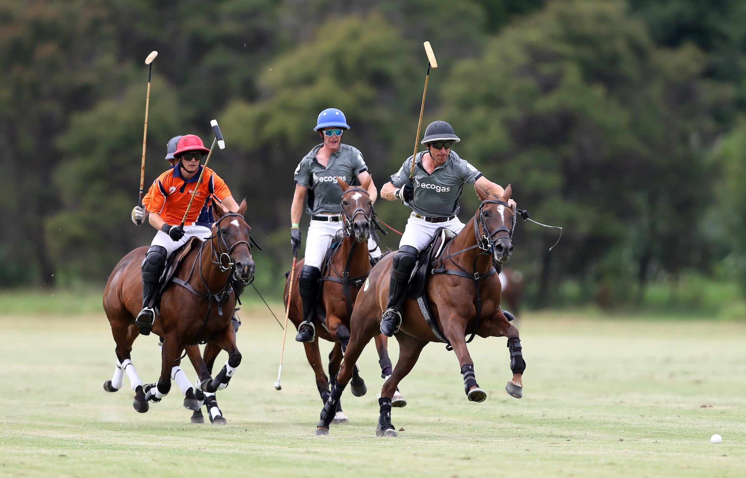 The 1% | April 2024 - NZTR