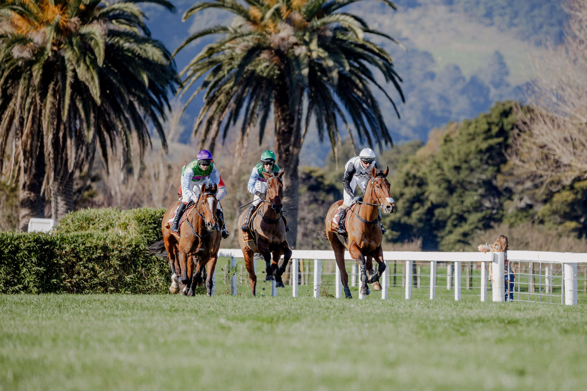 Iconic Jumps Races Renamed to Reflect New Era at Te Aroha - NZTR
